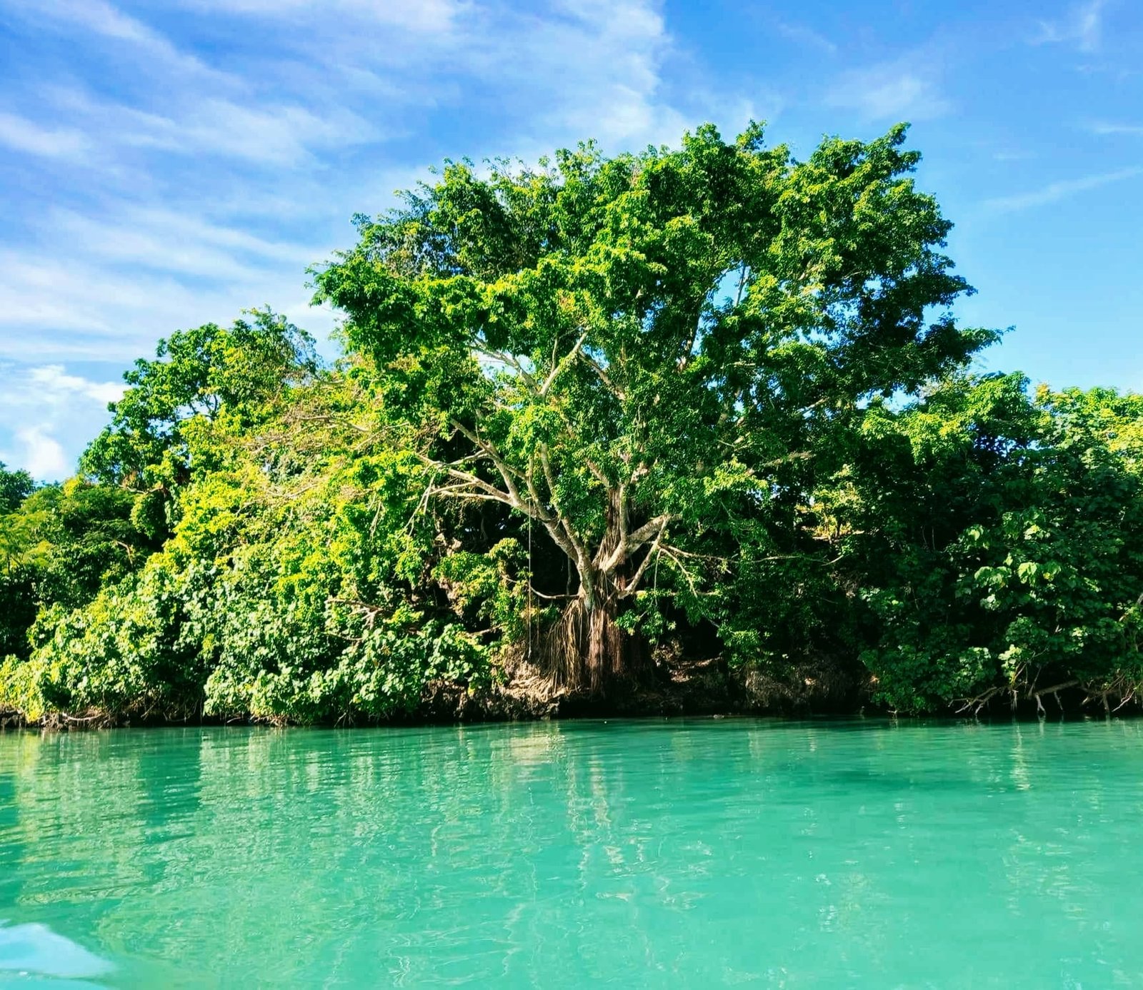 About Us - Masua Tours & Transfers